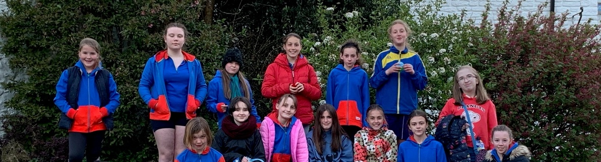 Girlguiding Devon